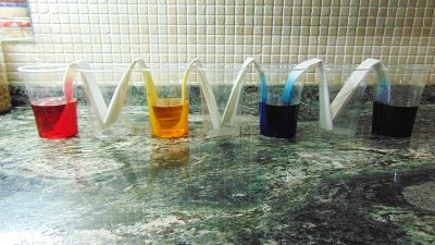 Capillary Action Experiment - Paper Towel Version: The Case Of The ...