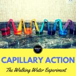 Capillary Action Experiment - Paper Towel Version: The Case Of The ...